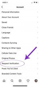 How to Request Verification on Instagram - MiloTree