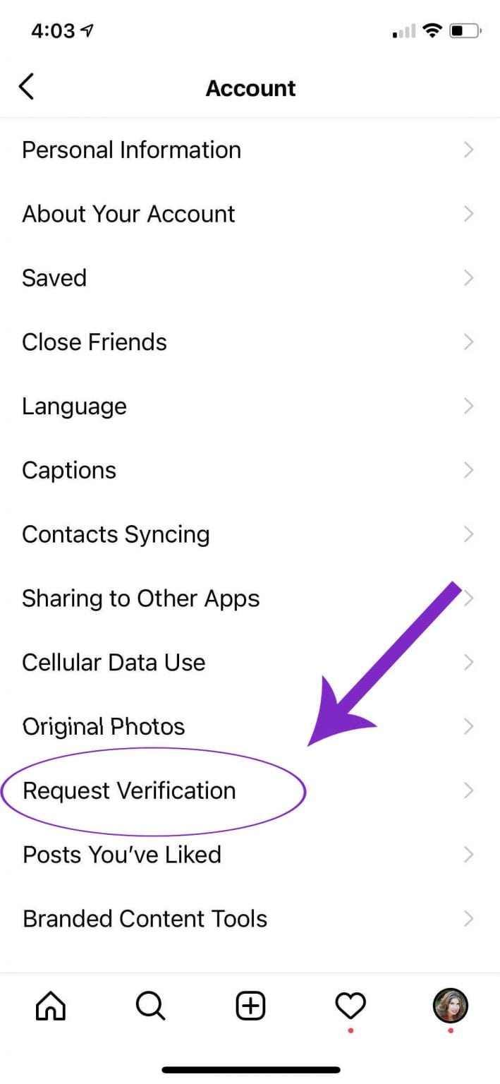 How to Request Verification on Instagram - MiloTree